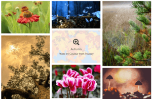 Quickly Add Hover Effects To Images: Easy CSS Guide