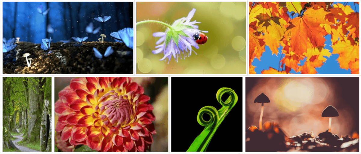 Boost User Engagement: 5 Innovative Ways To Use Photos On Your Website