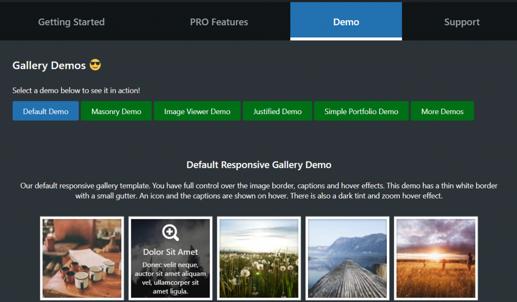 FooGallery 101 - FooPlugins