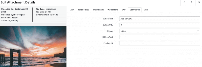 Using The Advanced Attachment Modal - FooPlugins