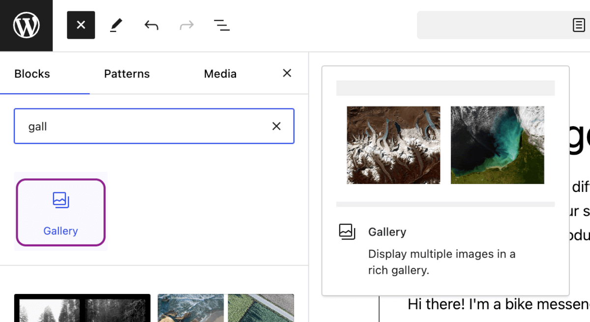 How To Set Up A Stylish Image Gallery On Your WordPress Site