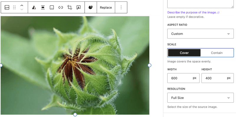 How To Resize Images In WordPress: A Comprehensive Guide