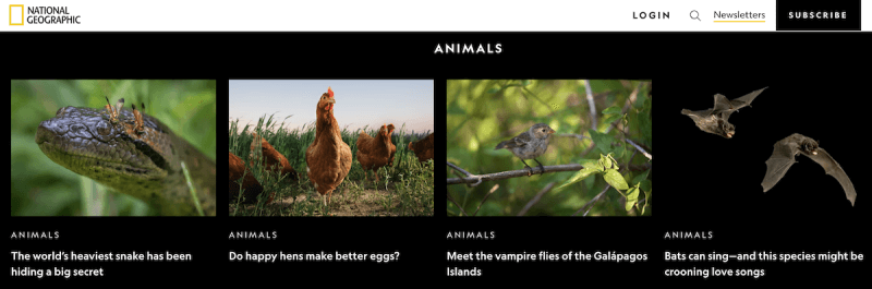 Selling Your Wildlife Imagery: Your Steady Income Guide - FooPlugins