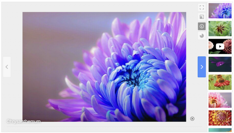 Boost User Engagement: 5 Innovative Ways To Use Photos On Your Website