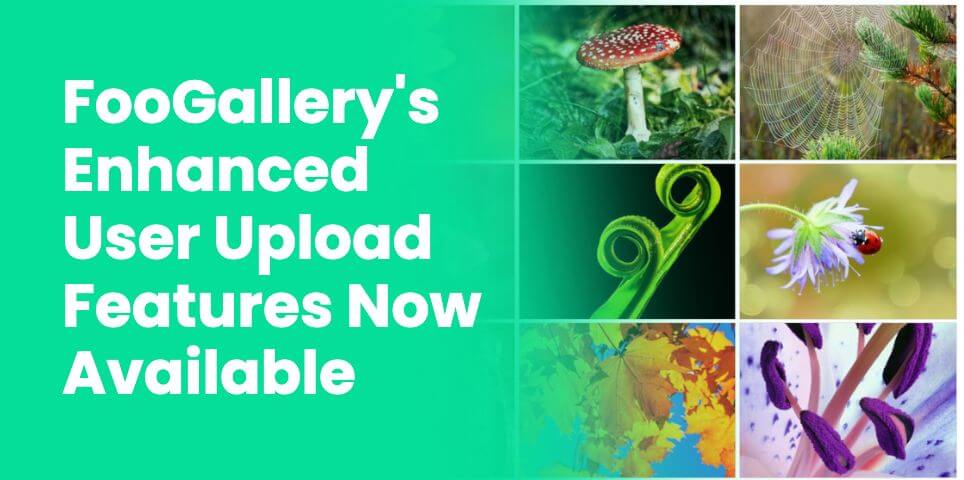 FooPlugins - Best WordPress Plugins | Developer Friendly | Responsive